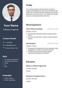 Professional CV Template | Free Download in MS Word & PSD